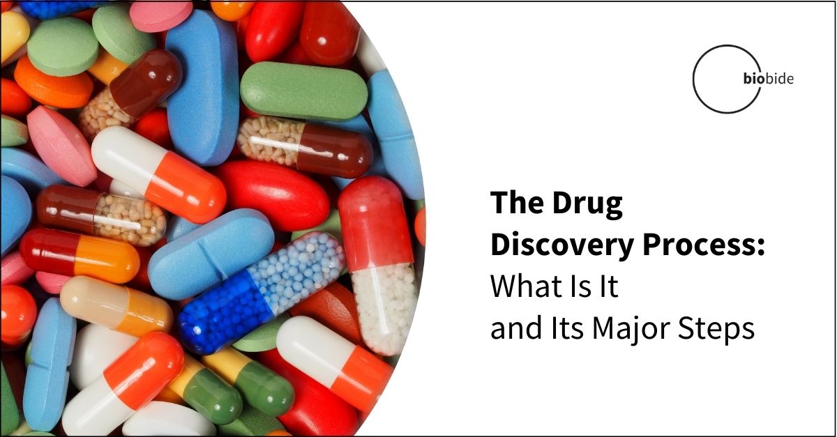 Drug Development Process Overview